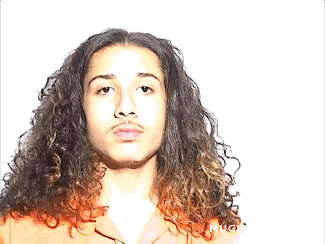 HERNANDEZ JULIAN DAVID 07/23/2024 - Lucas County Mugshots Zone