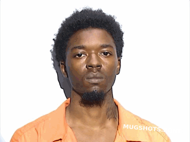 WILSON ANTHONY LAMONT JR 07/23/2024 - Lucas County Mugshots Zone