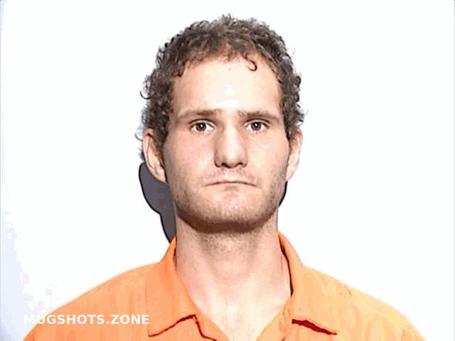 GOTTSCHALK JOSHUA ALLEN 07/24/2024 - Lucas County Mugshots Zone