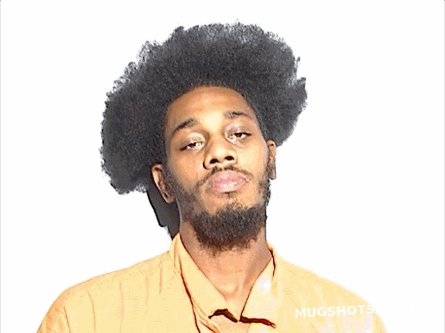 KING ERIC LAMONTE JR 07/26/2024 - Lucas County Mugshots Zone