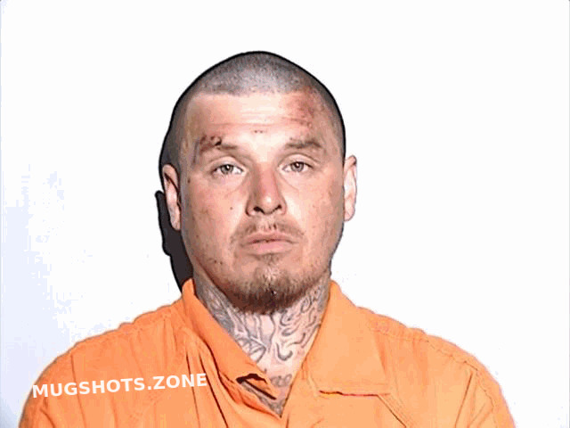 PERDUE JUSTIN RAY 07/28/2024 - Lucas County Mugshots Zone