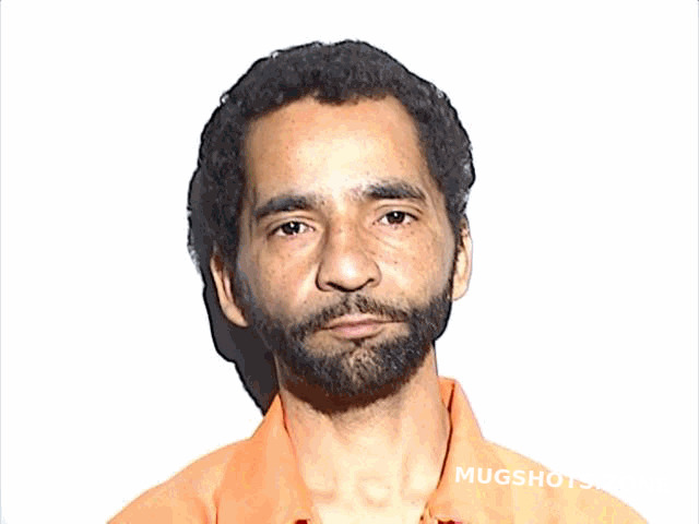 REDDICK VERNON EDWARD 07/28/2024 - Lucas County Mugshots Zone