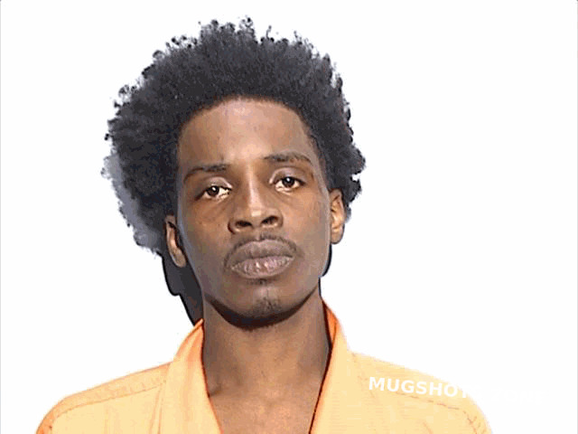 MCCALL TYRICE DARZELL 07/31/2024 - Lucas County Mugshots Zone