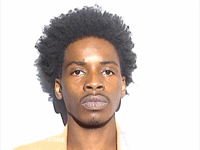 MCCALL TYRICE DARZELL JR 08/02/2024 - Lucas County Mugshots Zone