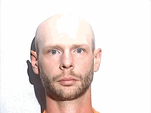 RATLIFF NATHAN RAMON 08/07/2024 - Lucas County Mugshots Zone