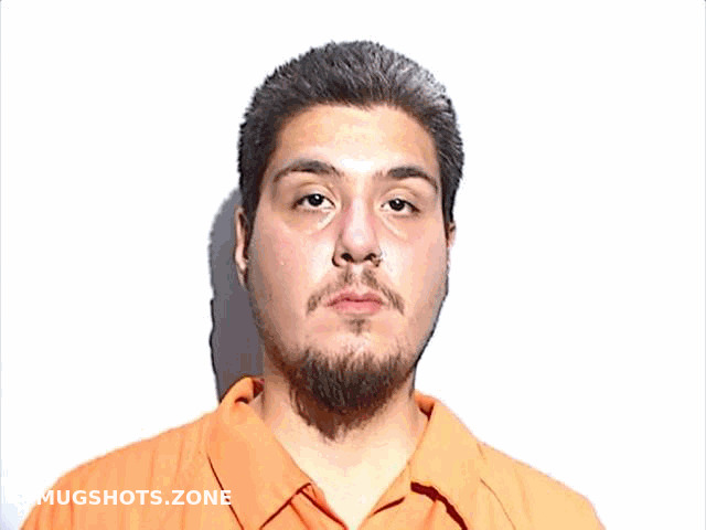 TREMMEL EVERETT PAUL 08/08/2024 - Lucas County Mugshots Zone