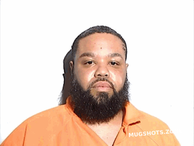 PATRICK DWAYNE ANTHONY 08/11/2024 - Lucas County Mugshots Zone