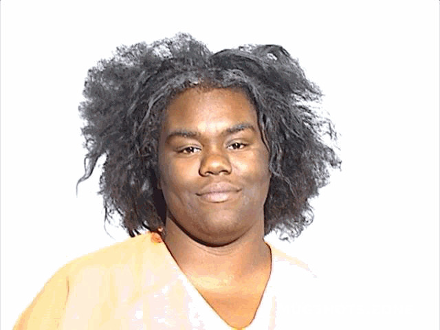 RICHARDSON BRIONNA KENYAE 08/11/2024 - Lucas County Mugshots Zone