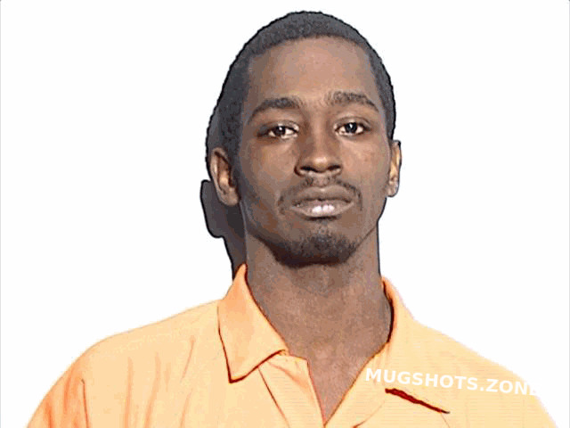 YOUNG ANTHONY LEWIS JR 08/11/2024 - Lucas County Mugshots Zone