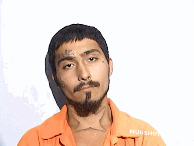 COLLINS DEVIN MATHEW-JOSEPH 08/13/2024 - Lucas County Mugshots Zone