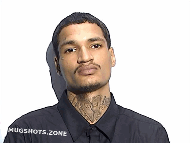 HARRIS JOHNTEZ DASHAUN 08/13/2024 - Lucas County Mugshots Zone