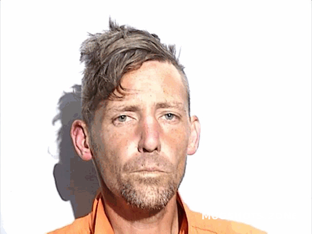 WHITMAN DYLAN RANDOLPH 08/14/2024 - Lucas County Mugshots Zone