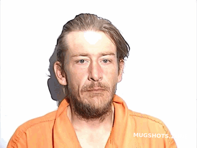 COLLINS GREGORY ALLEN JR 08/20/2024 - Lucas County Mugshots Zone