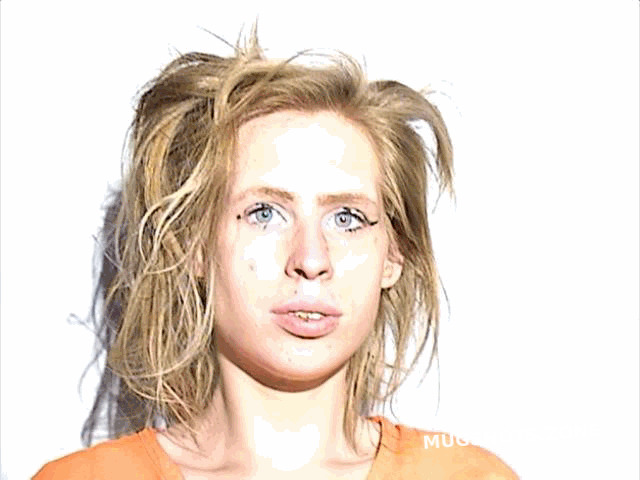 SHOOK DESTINY RENEE 08/23/2024 - Lucas County Mugshots Zone