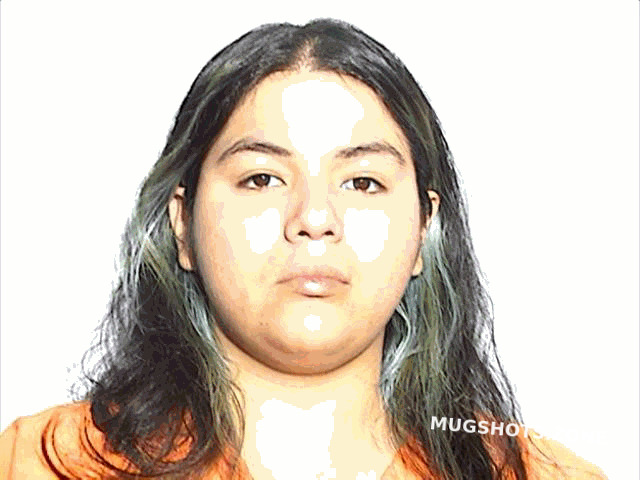 PORRAS DENISE 08/24/2024 - Lucas County Mugshots Zone