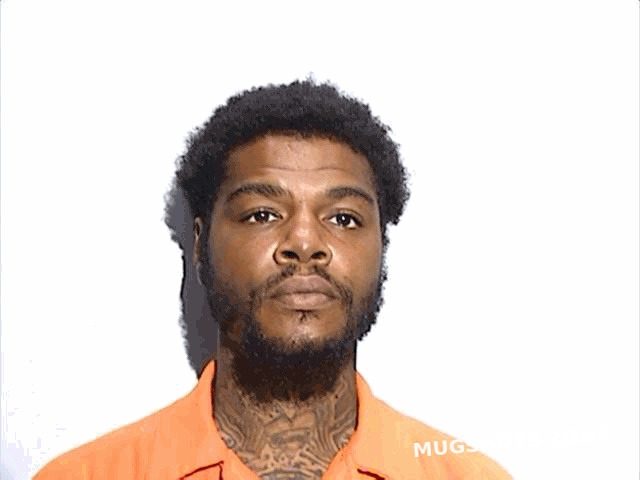 MCCLELLAN SHAHID SHAMAR 08/27/2024 - Lucas County Mugshots Zone
