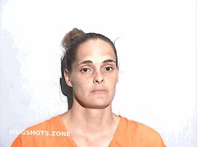 DRONYK JENNIFER RHEA 08/27/2024 - Lucas County Mugshots Zone