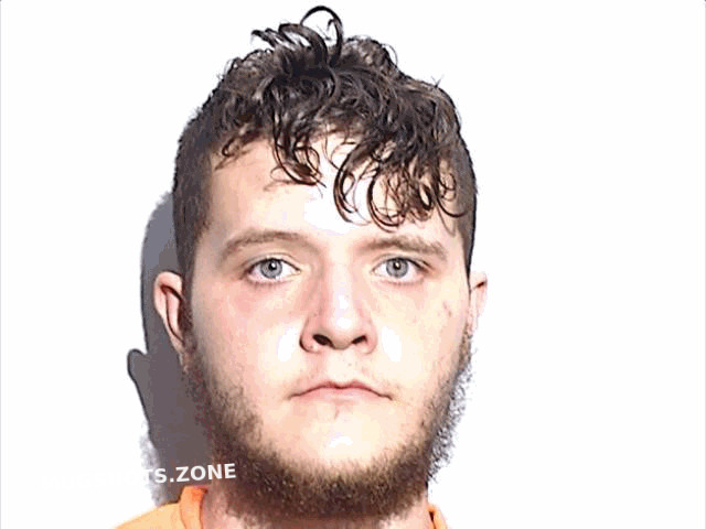 MORTON RILEY ALAN 08/30/2024 - Lucas County Mugshots Zone