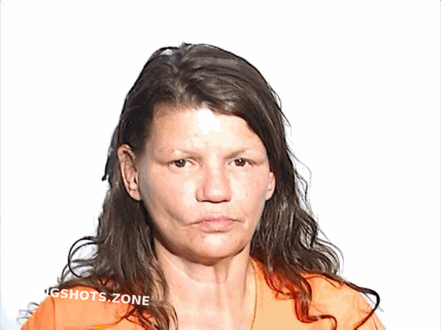 COATES CANDICE LYNN 08/30/2024 - Lucas County Mugshots Zone