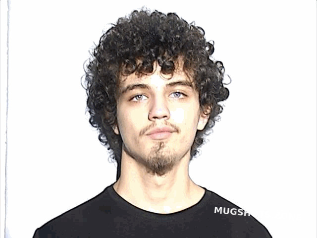 HALL BRANDON SCOTT 09/09/2024 - Lucas County Mugshots Zone