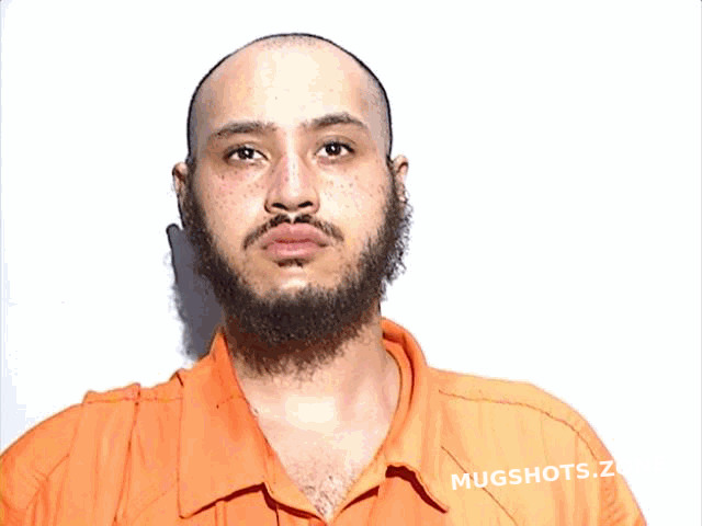 DAVIS ISAIAH MICHAEL 09/11/2024 - Lucas County Mugshots Zone