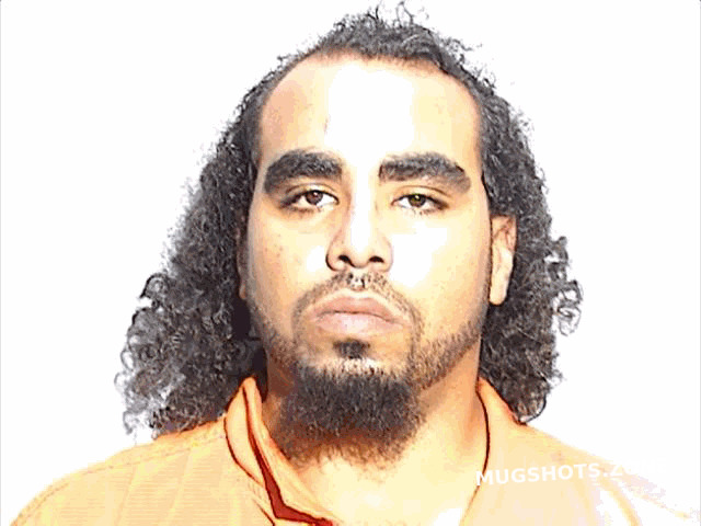 WILSON GAYLON JOHN 09/11/2024 - Lucas County Mugshots Zone