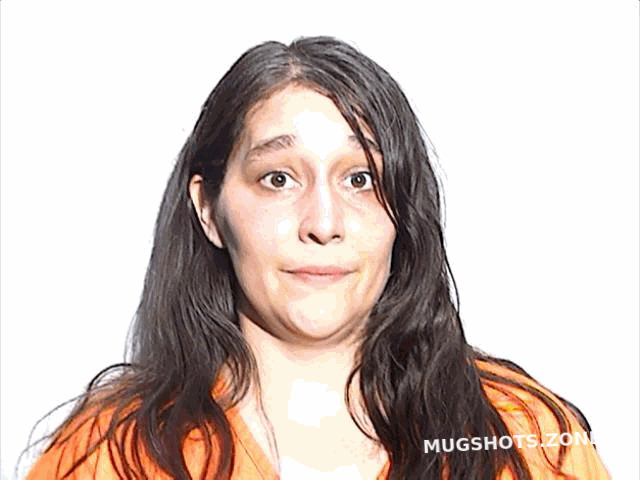 SAMPLE TIFFANY RENEELYNN 09/11/2024 - Lucas County Mugshots Zone