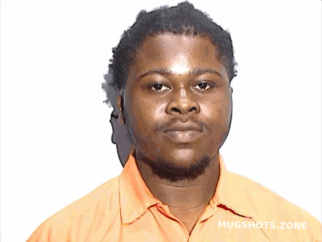 MIMS ZAIRRAYON SHAMAR-JAMES 09/11/2024 - Lucas County Mugshots Zone