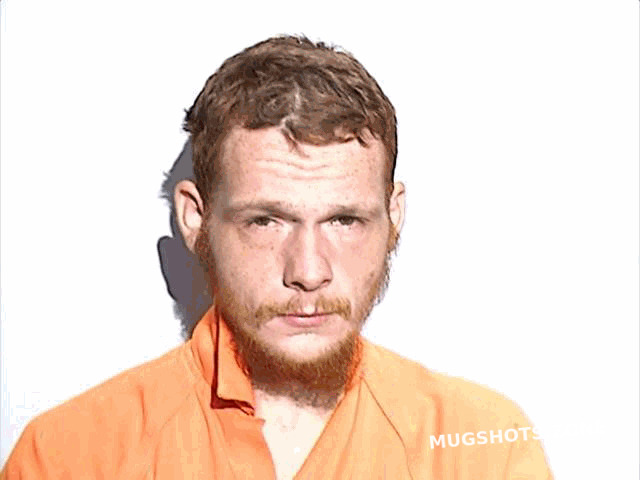 BURGIN BRANDON MICHAEL 09/11/2024 - Lucas County Mugshots Zone