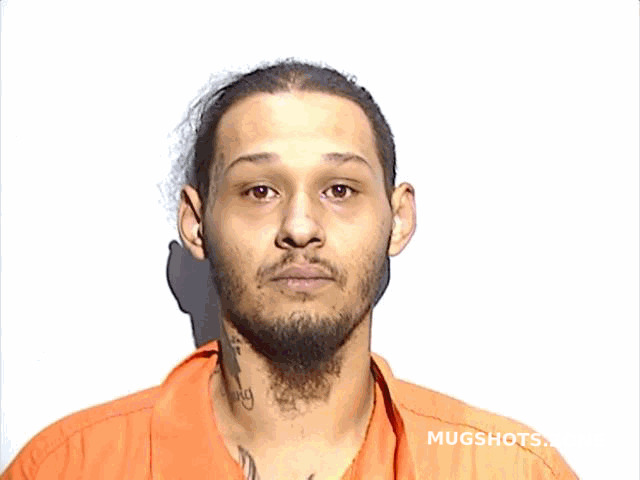 WILDER RYAN BENJAMIN 09/11/2024 - Lucas County Mugshots Zone