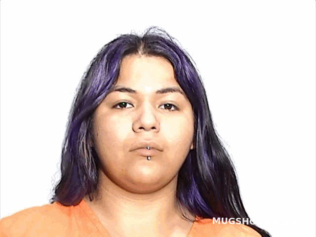 PORRAS DENISE 09/15/2024 - Lucas County Mugshots Zone