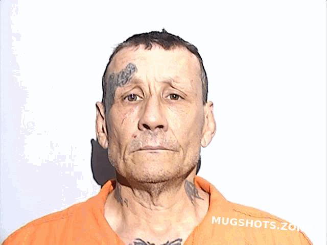 TOLER RONNIE LEE 09/16/2024 - Lucas County Mugshots Zone