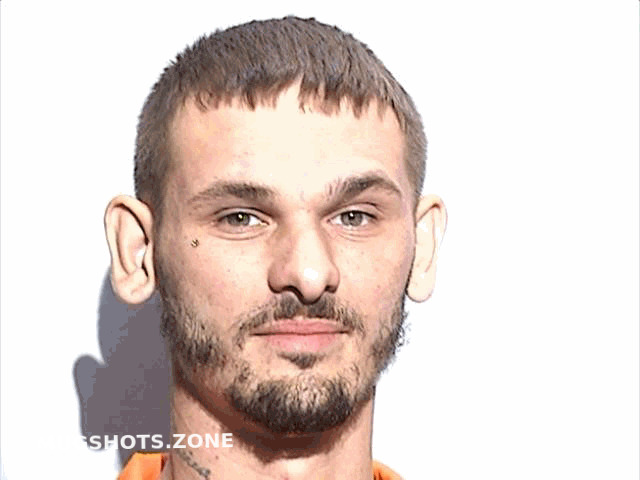 NEWMAN JOHN ALLAN 09/28/2024 - Lucas County Mugshots Zone