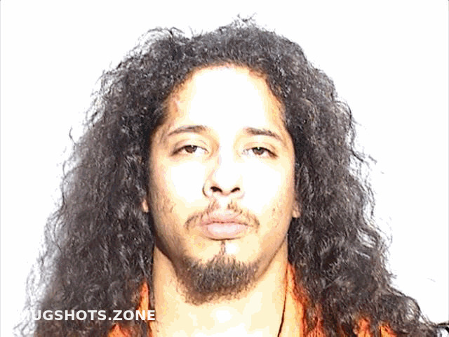 VILANO CHRISTIAN FERNANDO 09/29/2024 - Lucas County Mugshots Zone