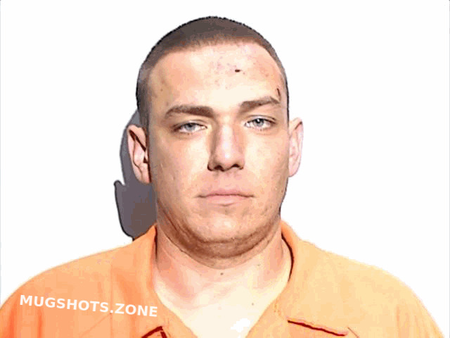 PRICE ANDREW MICHAEL 10/01/2024 - Lucas County Mugshots Zone