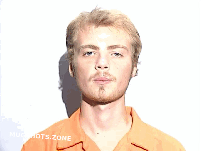 DOMINIQUE LOGAN JAMES 10/03/2024 - Lucas County Mugshots Zone