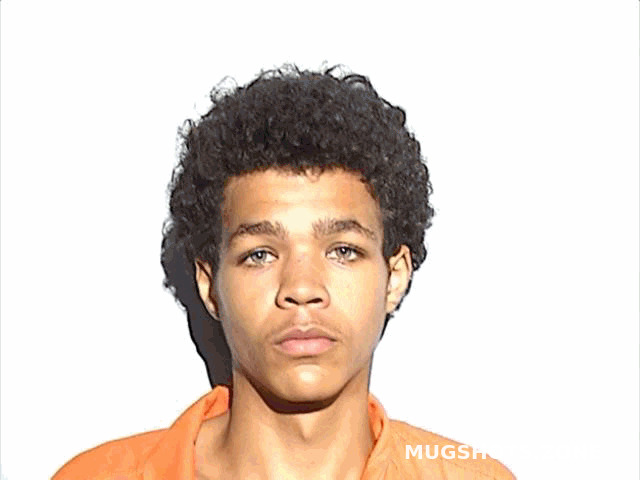 VICE ISAIAH 10/13/2024 - Lucas County Mugshots Zone