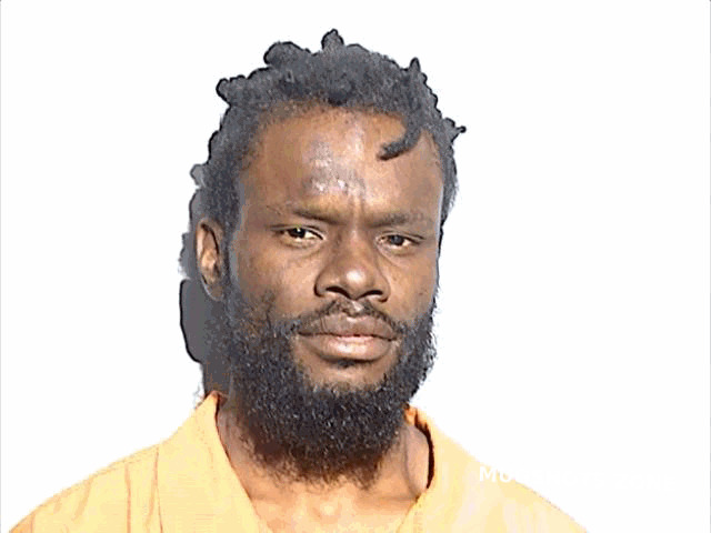 ADAMS JACQUEZ AKEEM 10/14/2024 - Lucas County Mugshots Zone