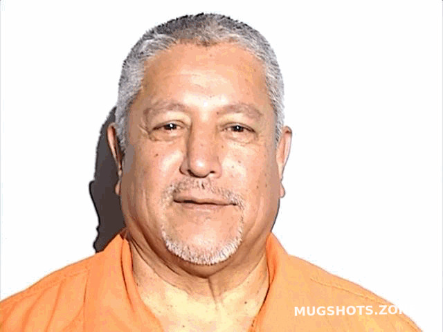 GARCIA GUADALUPE 10/15/2024 - Lucas County Mugshots Zone