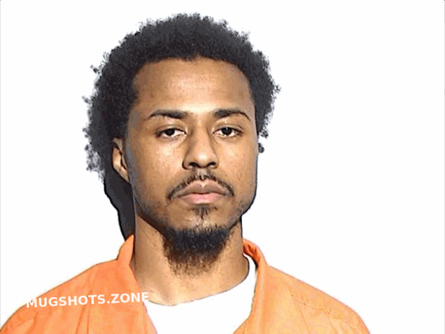 WILLIAMS MARTEZ LEMAR 10/15/2024 - Lucas County Mugshots Zone