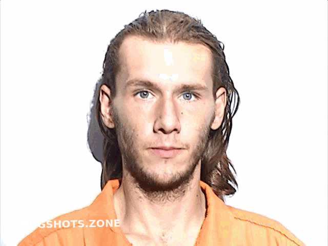 FEASEL MIKE VINCENT 10/16/2024 - Lucas County Mugshots Zone