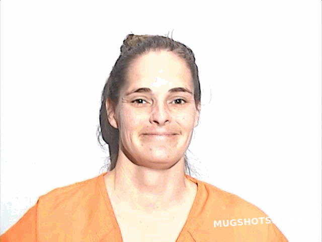 DRONYK JENNIFER RHEA 10/18/2024 - Lucas County Mugshots Zone