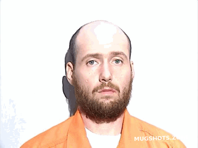 LAMB DUSTYN JAMES 10/18/2024 - Lucas County Mugshots Zone