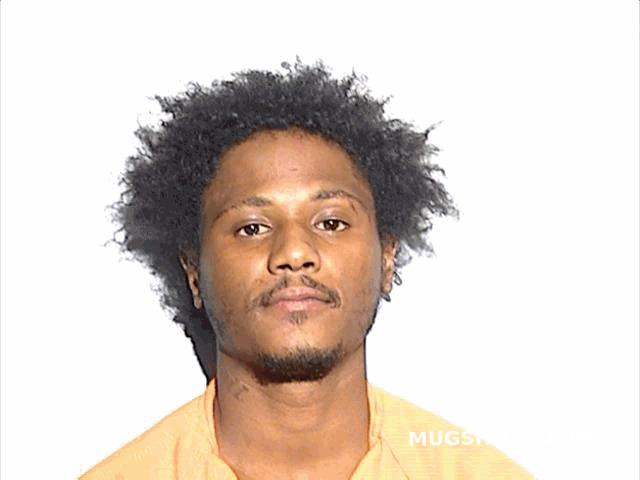 JOHNSON TORREN GLENN JR 10/20/2024 - Lucas County Mugshots Zone