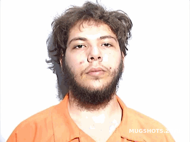 MARTINSON BRAYDEN ALEXANDER-KEEGAN 10/23/2024 - Lucas County Mugshots Zone