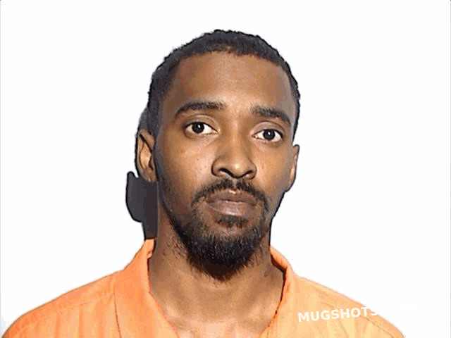 LANE CHARLES DEANGELO 10/24/2024 - Lucas County Mugshots Zone