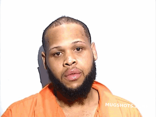 PETTAWAY MARVIN CRAIG JR 10/25/2024 - Lucas County Mugshots Zone