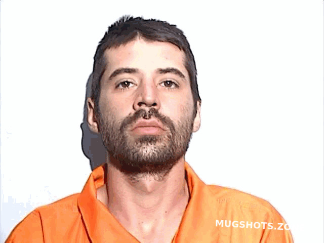 SHERMAN JASON ALAN JR 10/25/2024 - Lucas County Mugshots Zone