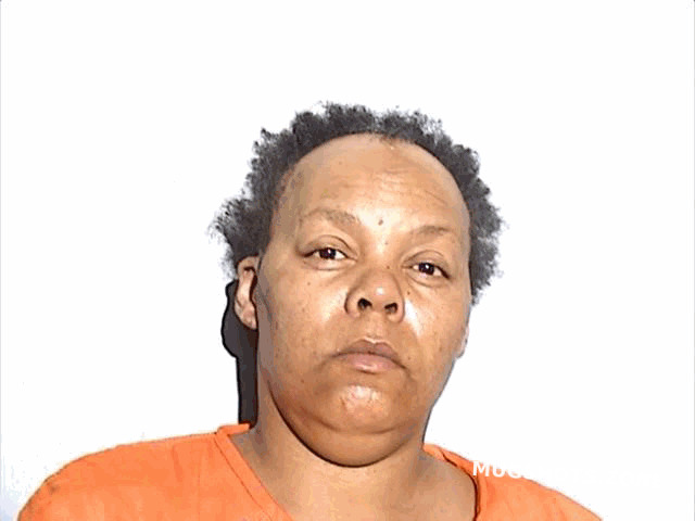 LATHAN TIFFANY MICHELLE 10/29/2024 - Lucas County Mugshots Zone
