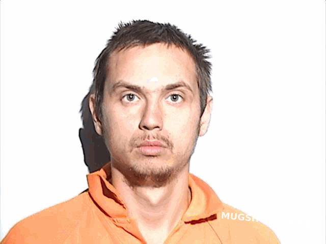 NYE AUSTIN JARRED 10/30/2024 - Lucas County Mugshots Zone